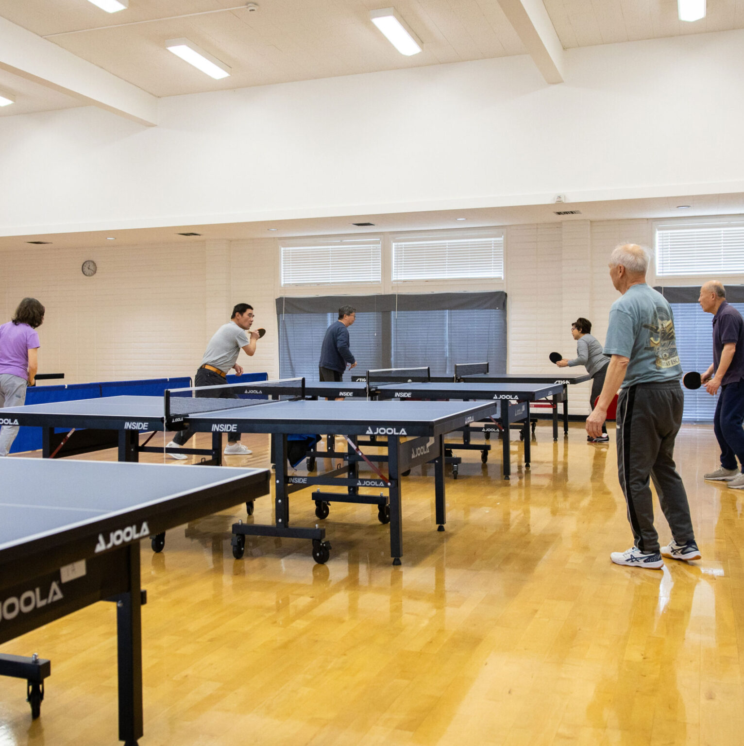 Adult Table Tennis Club – LGS Recreation